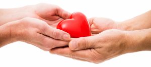 What is Compassion Focused Therapy (CFT)? – Brisbane Psychologists